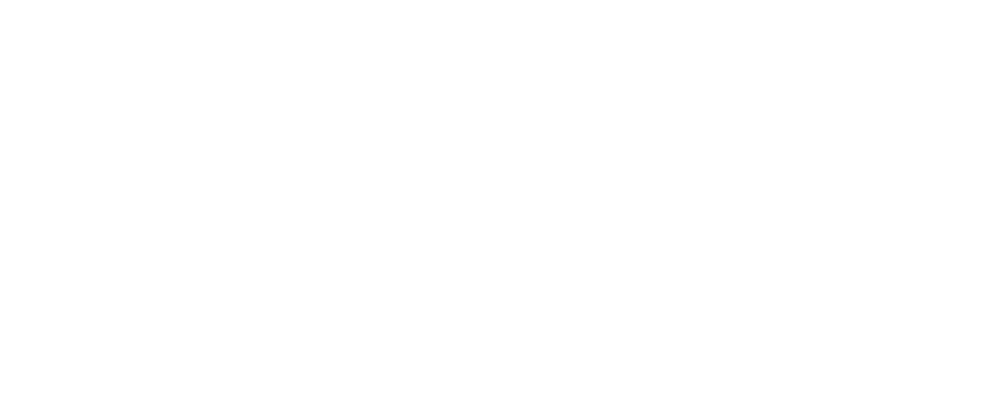 Nyheter - Styrke ARCHER